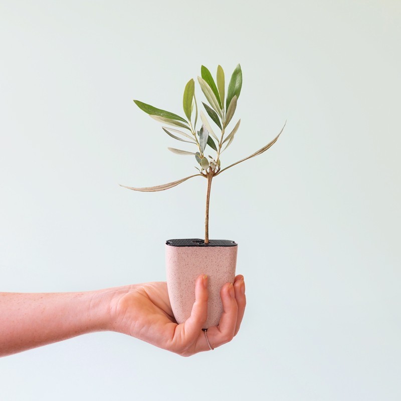 Klein cadeautje tot 12,95 | Origineel & duurzaam | BloomPost